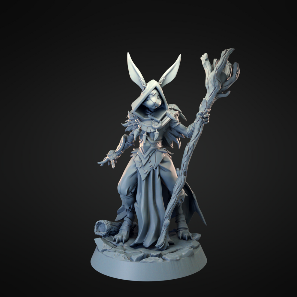 Rabbit Druid – Print To Table